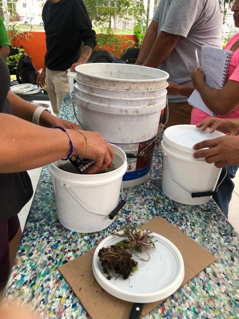 Elaboracion de Composta | Cursos de Huertos Urbanos